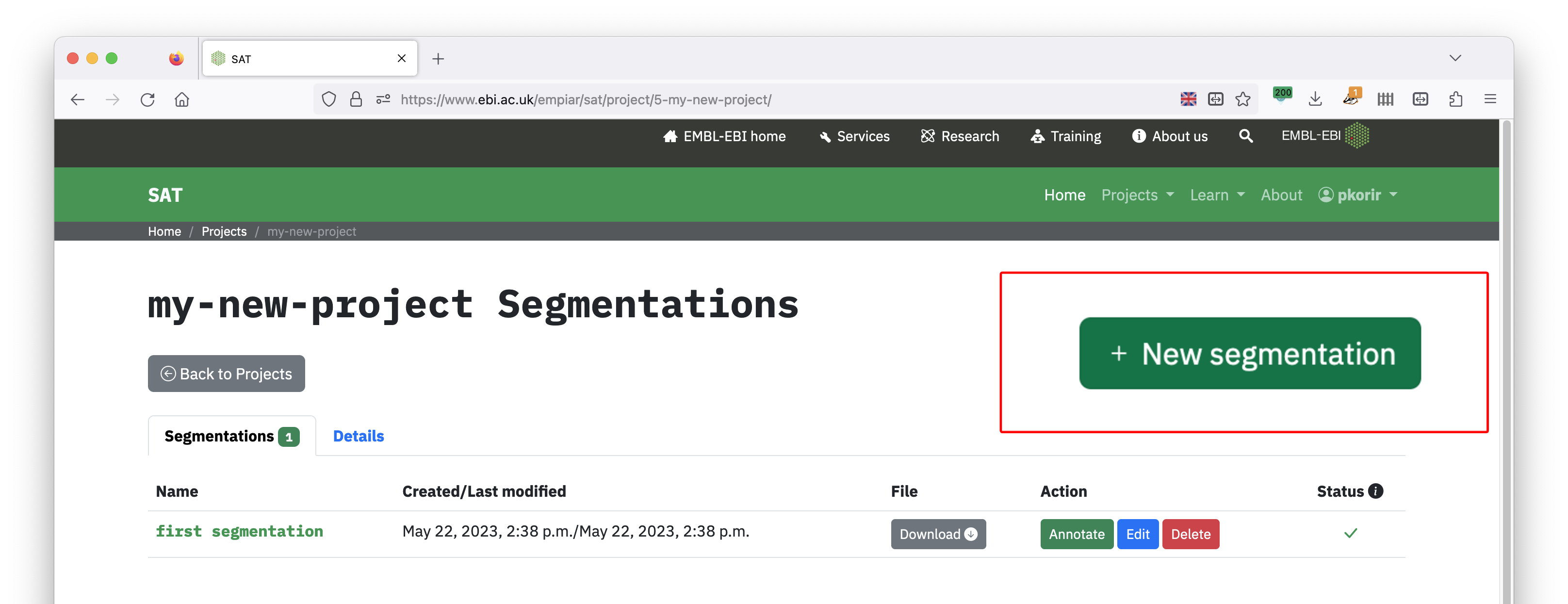 Annotating your segmentation — SAT Guide documentation