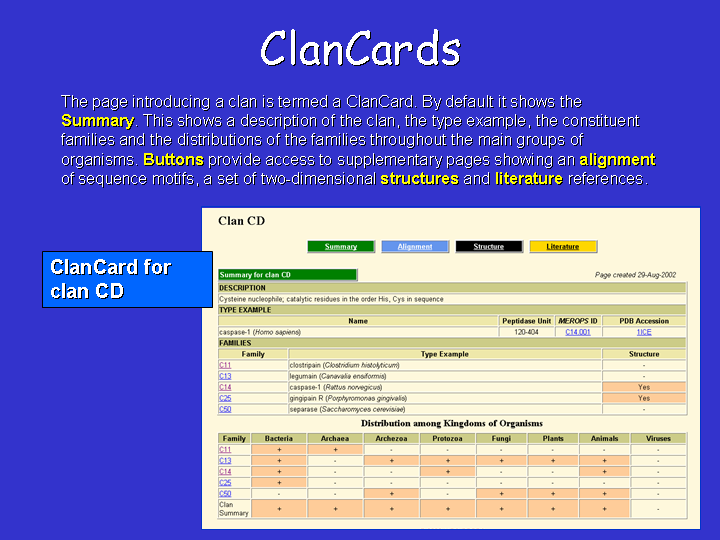 MEROPS - the Peptidase Database