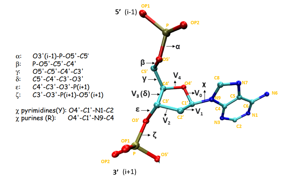 DNA: Nature’s own director of Life | Protein Data Bank in Europe