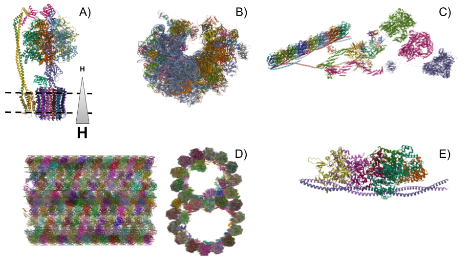 Protein Machines | Protein Data Bank in Europe