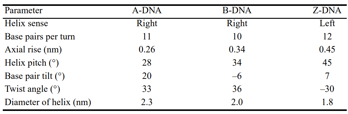 DNA: Nature’s own director of Life | Protein Data Bank in Europe