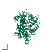 Serotransferrin in PDB entry 1a8e ‹ PDBe ‹ EMBL-EBI