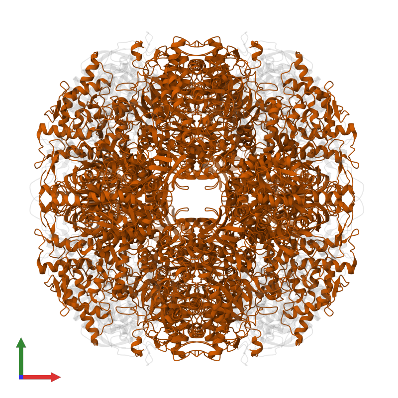 PDB 1e9y gallery ‹ Protein Data Bank in Europe (PDBe) ‹ EMBL-EBI