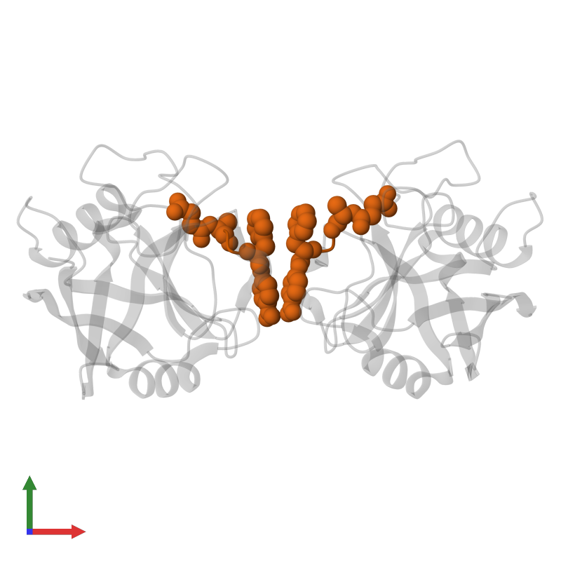 PDB 1rmh gallery ‹ Protein Data Bank in Europe (PDBe) ‹ EMBL-EBI
