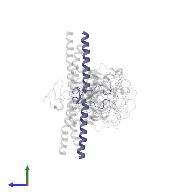 PDB 2a45 gallery ‹ Protein Data Bank in Europe (PDBe) ‹ EMBL-EBI