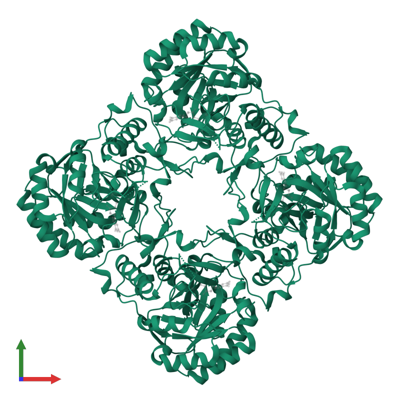 PDB 2ble gallery ‹ Protein Data Bank in Europe (PDBe) ‹ EMBL-EBI