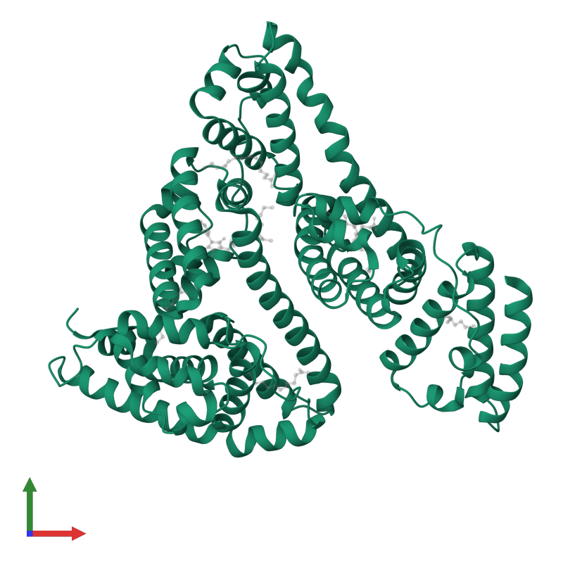 PDB 2bxp gallery ‹ Protein Data Bank in Europe (PDBe) ‹ EMBL-EBI