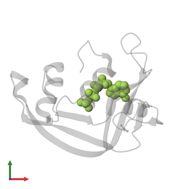 PDB 2c02 gallery ‹ Protein Data Bank in Europe (PDBe) ‹ EMBL-EBI