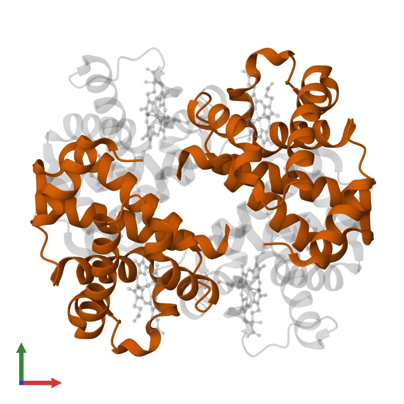 PDB 2dn1 gallery ‹ Protein Data Bank in Europe (PDBe) ‹ EMBL-EBI