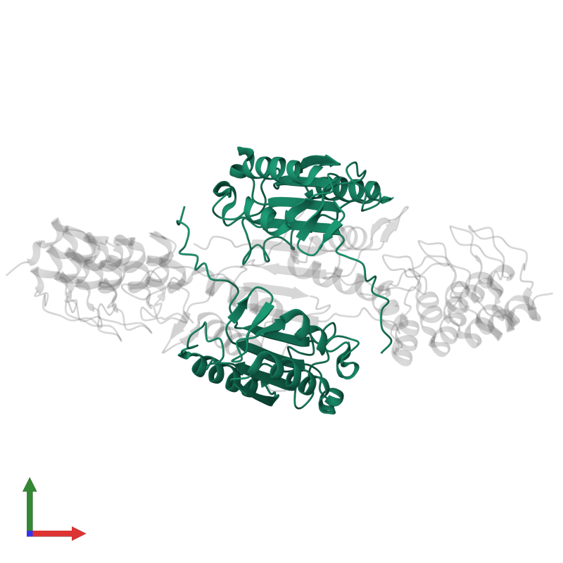 PDB 2p2c gallery ‹ Protein Data Bank in Europe (PDBe) ‹ EMBL-EBI