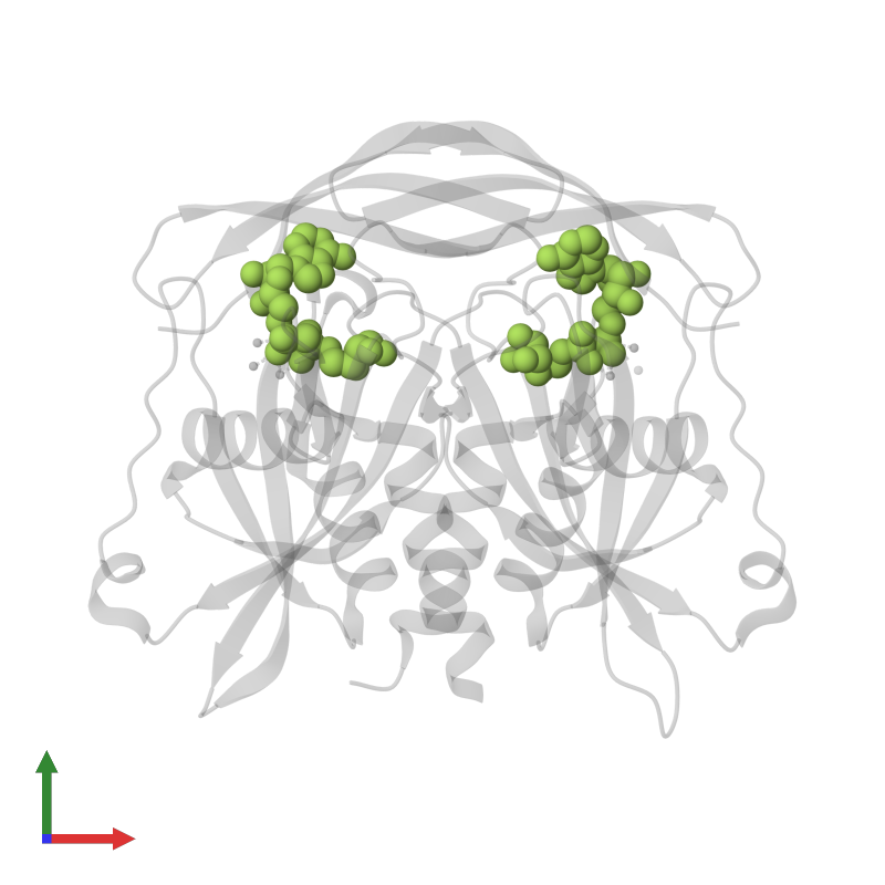 PDB 3bm4 gallery ‹ Protein Data Bank in Europe (PDBe) ‹ EMBL-EBI