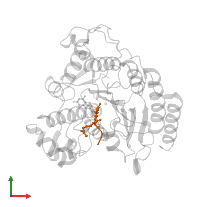 PDB 3ewf gallery ‹ Protein Data Bank in Europe (PDBe) ‹ EMBL-EBI