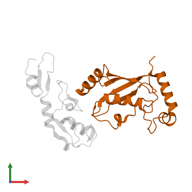 PDB 3hct gallery ‹ Protein Data Bank in Europe (PDBe) ‹ EMBL-EBI