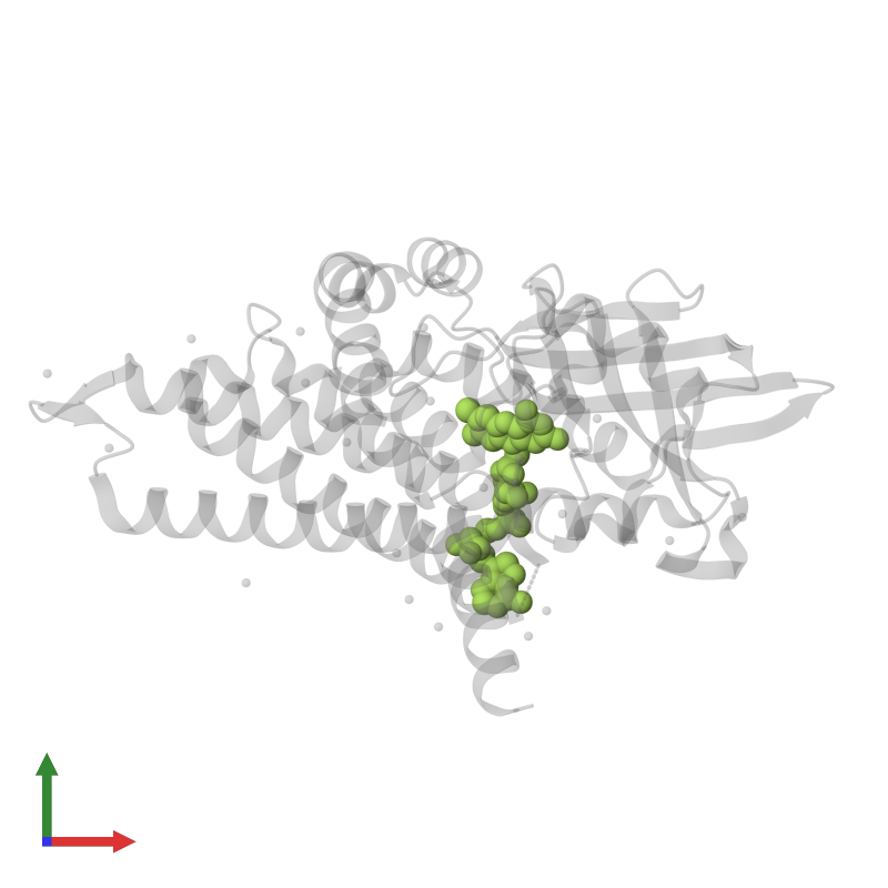 PDB 3pfd gallery ‹ Protein Data Bank in Europe (PDBe) ‹ EMBL-EBI