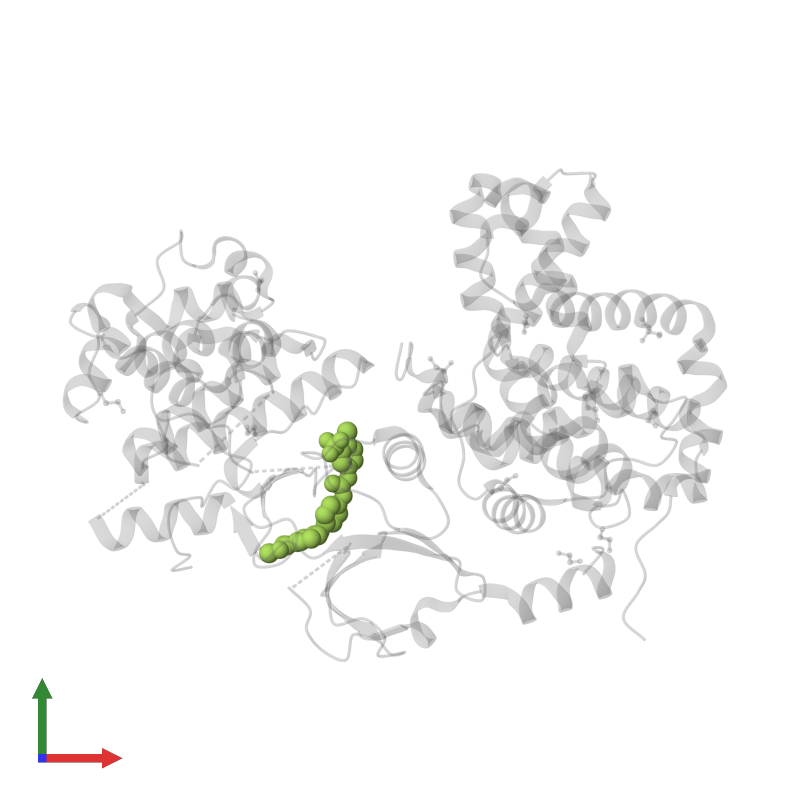 PDB 3rgf gallery ‹ Protein Data Bank in Europe (PDBe) ‹ EMBL-EBI