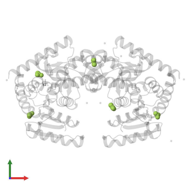 PDB 4cl3 gallery ‹ Protein Data Bank in Europe (PDBe) ‹ EMBL-EBI