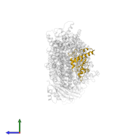 Probable membrane-bound hydrogenase subunit mbhJ in PDB entry 6cfw ...