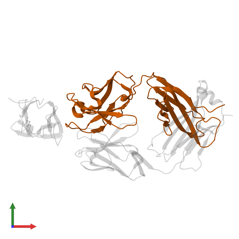 PDB 6p50 gallery ‹ Protein Data Bank in Europe (PDBe) ‹ EMBL-EBI