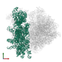 Saccharomyces cerevisiae S288C 18S ribosomal RNA (RDN18-1), rRNA in PDB ...