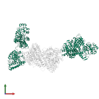 CO-methylating acetyl-CoA synthase in PDB entry 6ytt ‹ PDBe ‹ EMBL-EBI