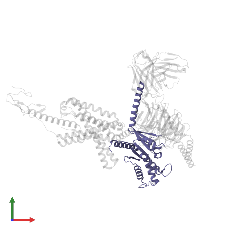 PDB 7try gallery ‹ Protein Data Bank in Europe (PDBe) ‹ EMBL-EBI