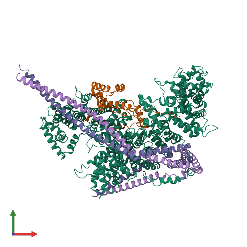 PDB 7vf2 gallery ‹ Protein Data Bank in Europe (PDBe) ‹ EMBL-EBI