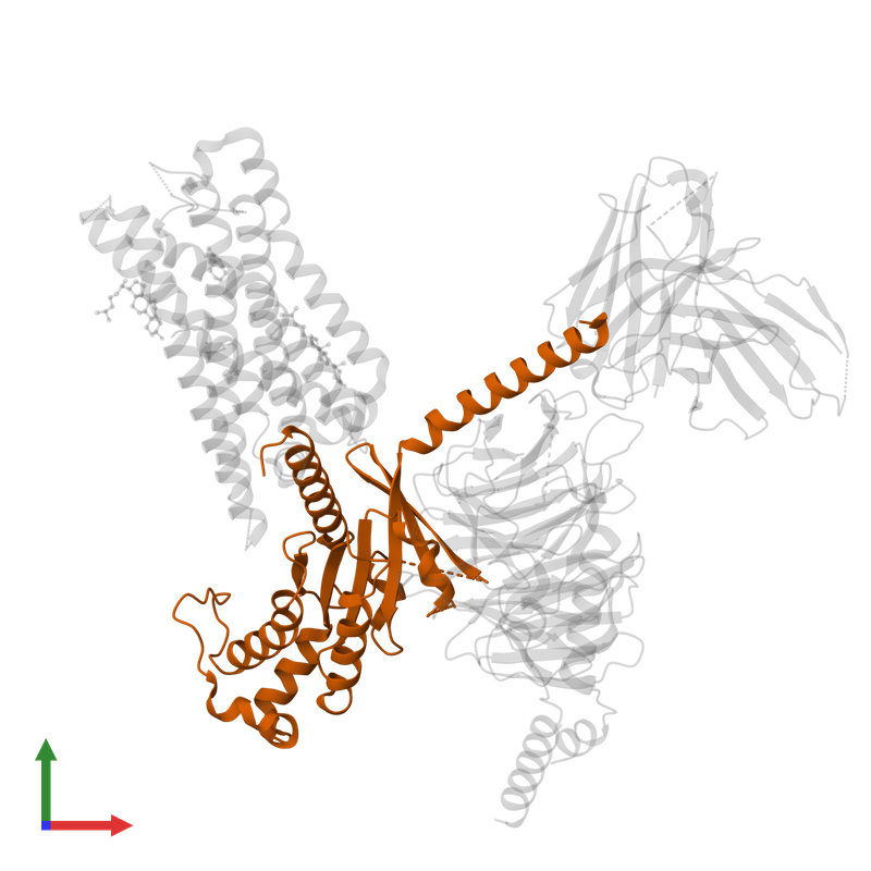 PDB 8dph gallery ‹ Protein Data Bank in Europe (PDBe) ‹ EMBL-EBI