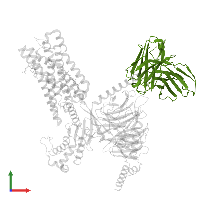 PDB 8dph gallery ‹ Protein Data Bank in Europe (PDBe) ‹ EMBL-EBI