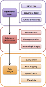 Performing a RNA-seq experiment | Functional genomics II
